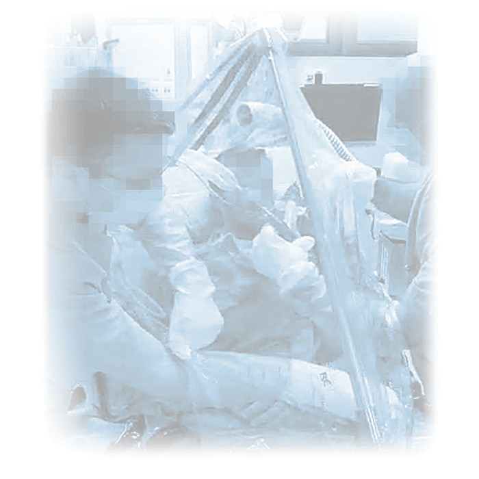 IsoArk Isolation Systems - Portable Chambers & Stretchers - Beth-El ...